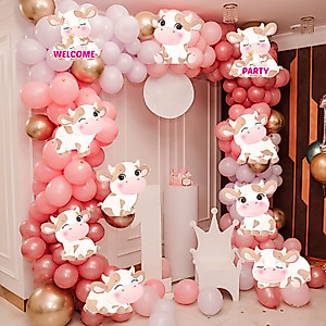 HANPLK Pink Cow Print Birthday Party Decorations, Farm Animal Pink Cow Print Party Supplies for Indoor Home, Outdoor Banner Porch Sign