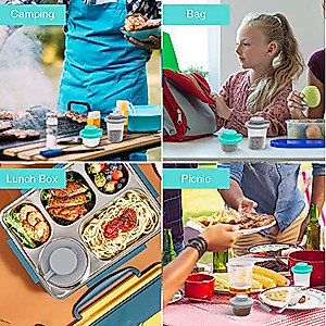 Sophico Small Salt and Pepper Shakers Set with Moisture Proof Sinlicone Lids, 4.5oz Mini Spice Shaker to go for Camping Travel Picnic Lunch Boxes (Mint & Grey, Small & Medium)