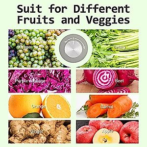 WHALL Slow Juicer, Masticating Juicer, Celery Juicer Machines, Cold Press Juicer Machines Vegetable and Fruit, Juicers with Quiet Motor & Reverse Function, Easy to Clean with Brush,Grey