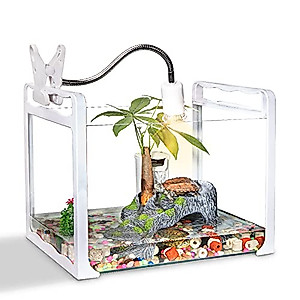 HOMUREN EU Plug 50W 220V 2in1 Set Reptile Heat Lamp with Bulb with Clip Turtle Back UVB+UVA Full Spectrum Sun Light Sunbathe for Lizard Amphibians