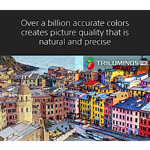 Sony 65 Inch 4K Ultra HD TV X85K Series: LED Smart Google TV with Dolby Vision HDR and Native 120HZ Refresh Rate KD65X85K- 2022 Model (Renewed)