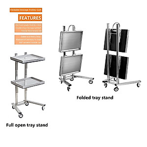 Kaleurrier Rolling Tool Trolley Cart with Double Storage Tray,Stainless Steel Utility Instrument Tray Stand with Wheels for Beauty Hair Salon Tattoo Spa Clinic Medical Studio Home (Color:Silver)