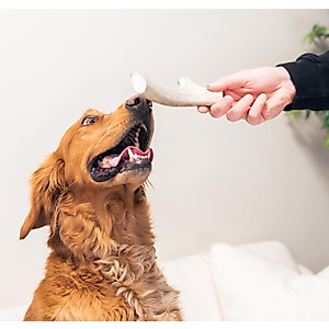 Good Trouble Pets All-Natural Shed Premium Antler Dog Chews - North American Sourced Deer Antlers for Dental Health & Anxiety Relief - Odor-Free & Non-Toxic Chew Toys for Dogs 2 Whole Antlers, Large