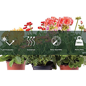 EarlyGrow Seed and Herb Domed Propagator with 2 Vented Side Height Extensions and Security Clip Set