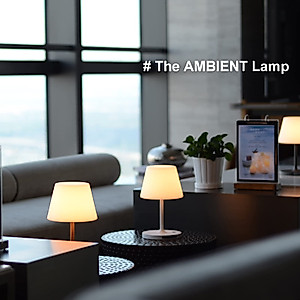 LOTITOL Outdoor Table Lamp/Cordless USB Rechargeable 4000mAh / 2700K LED/Touch Dimmable/Portable Battery Operated / IP44 Waterproof/PE Shade/Bedroom Dinning Camping Patio (9.6in, Wood Grain)