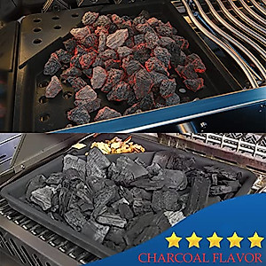 67732 Charcoal Tray Replacement Parts for Napoleon Grill Accessories Prestige 450 500 665 Smoker Box Prestige Pro 500 665 825 Lex 485 605 730 Rogue 425 525 XT 425 Mirage 485 Triumph 495 Coal Pan