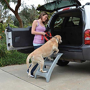 Booster Bath Steps for Dog Bath