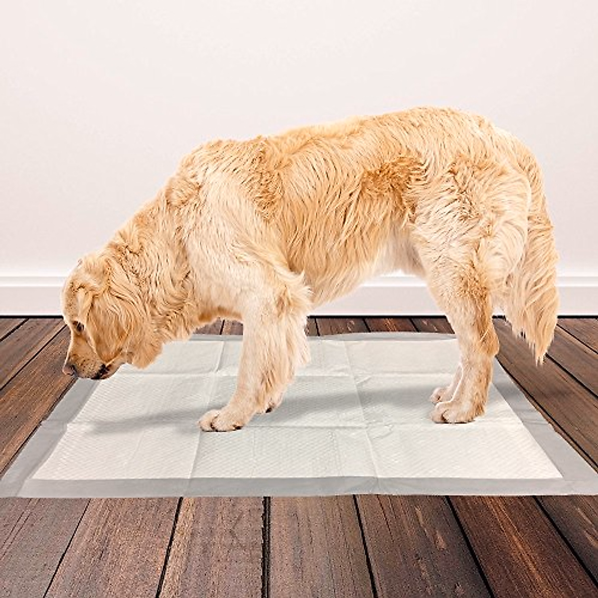 OUT! Odor Control Extra Large Dog Pads | Absorbent Pet Training and Puppy Pads | 60 Pads | 26 x 24 Inches