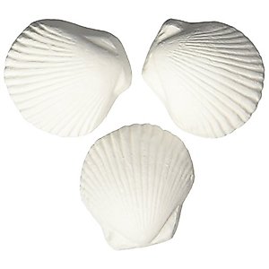 Weco Wonder Shell Natural Minerals (3 Pack), Small