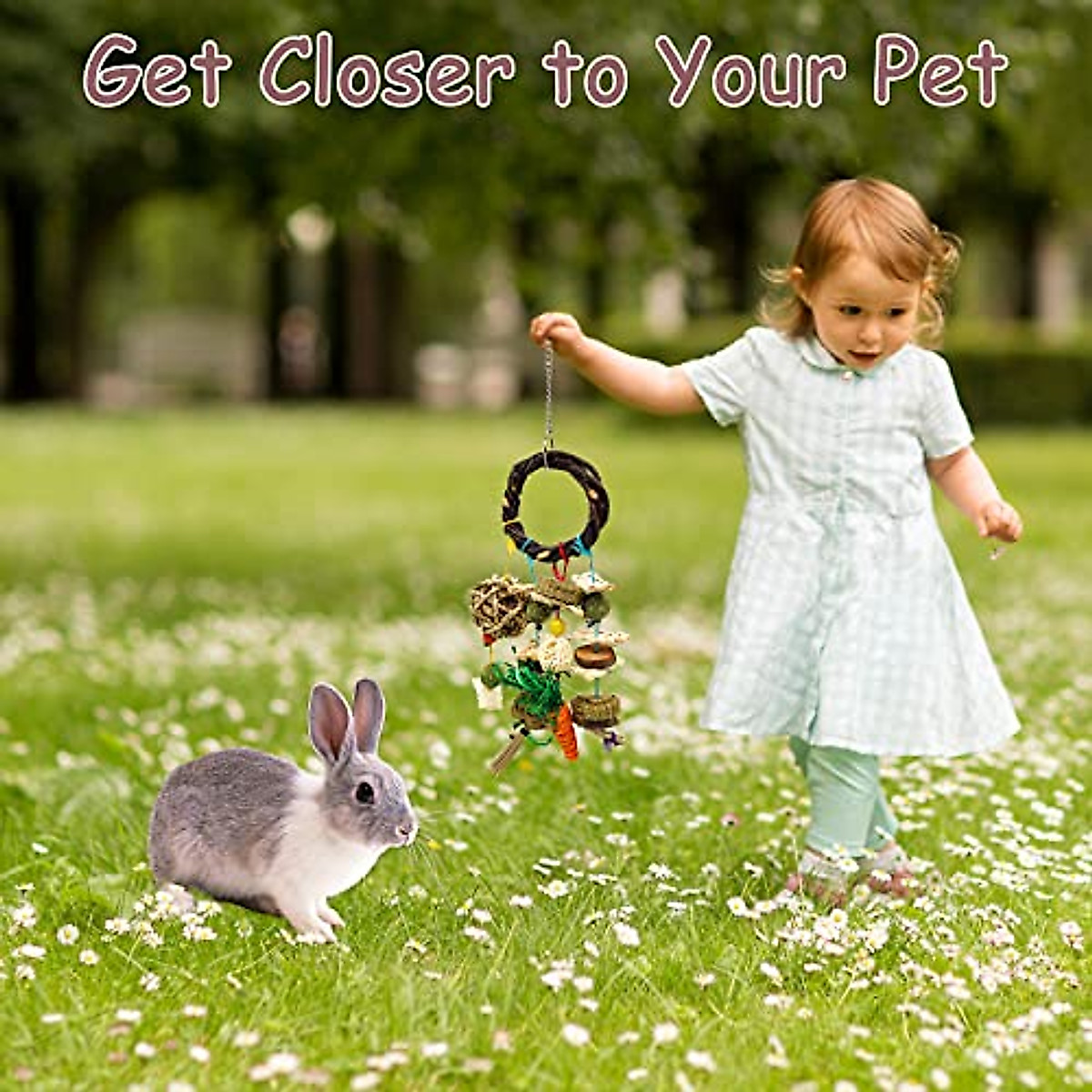 BNOSDM 2 PCS Rabbit Chew Toys for Bunnies Cage Hanging Guinea Pig Chewing Toys Rattan Ring with Snacks Natural Small Animals Teeth Grinding Toy for Hamster Chinchilla Ferret Hedgehog