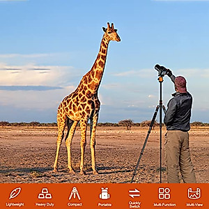 Camera Tripod, 80/84 inches Heavy Duty Tripod for Camera and Phone, 82" Camera Monopod Tripod, DSLR Binoculars Spotting Scope Camcorders Video Tripod Stand, 360 Degree Ball Head, 35 lbs Loads