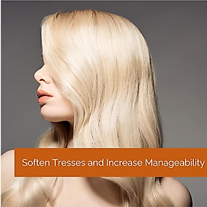 GIOVANNI 2chic Ultra-Revive Shampoo - Pineapple & Ginger to Moisturize Dry Unruly Hair, Coconut, Guava, Aloe Vera, Pro-Vitamin B5, Lauryl & Laureth Sulfate Free, No Parabens, Color Safe - 24 oz