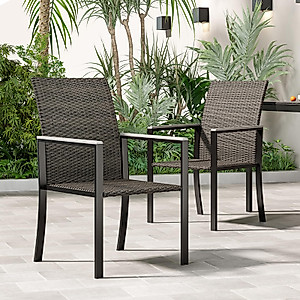 Farini Outdoor Dining Chairs Set of 2,Outdoor Wicker Dining Chairs with Armrests, Steel Frame for Patio, Deck, Garden, Yard