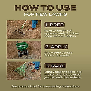 Scotts Turf Builder Grass Seed Southern Gold Mix for Tall Fescue Lawns in The South with Root-Building Nutrition, 16 lb.