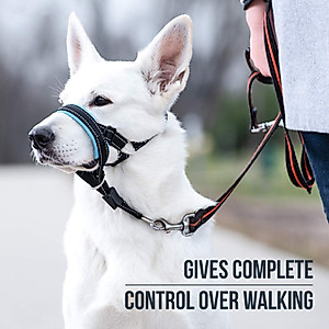 GoodBoy Dog Head Halter with Safety Strap - Stops Heavy Pulling On The Leash - Padded Headcollar for Small Medium and Large Dog Sizes - Head Collar Training Guide Included (Size 2, Pink)