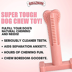 Bullibone Small SuperBrush Bundle - Three Delicious Flavors Apple/Cinnamon Pink Peppermint Super Greens