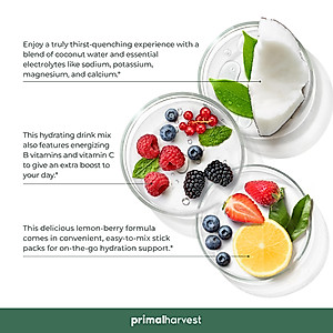 Primal Harvest Electrolytes Powder Packets Primal Hydration, Easy Open Packets, Energy Drink Mix (Lemon Berry, 30 Packs)