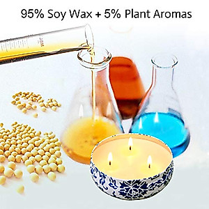 Hausware Citronella Candles Outdoor & Indoor - Large 13.5 oz Scented Candles Set 3 Pack Natural Soy Wax citronella Candles for Garden Patio Yard Home Balcony Camping Backyard