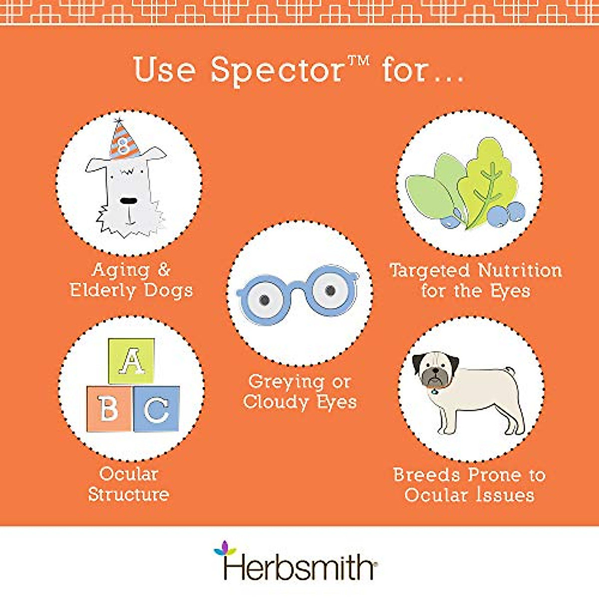 Herbsmith Spector - Eye and Vision Support for Dogs - Repair Greying to The Eyes - Senior Supplement for Dogs - Antioxidant for Dogs - 60ct Small Chews