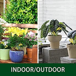 90PCS Yellow Sticky Traps for Indoors/Outdoor Gnat Traps for Plants Fungus Gnats Sticky Traps for Whiteflies Mosquitoes Fruitflies Thrips Aphids. Stake Holders Included Dual-Sided