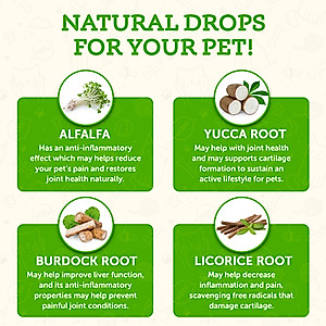 Animal Essentials Joint Support for Dogs & Cats - Joint Supplement, Liquid Joint Formula, Liquid Glucomasine, Organic Human Grade Herbs - 1 Fl Oz