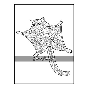 100 Animals: An Adult Coloring Book with Lions, Elephants, Owls, Horses, Dogs, Cats, and Many More!