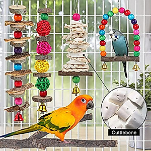 Bird Perch Bird Toys Parakeet Toys,6 Pack Bird Cage Accessories Wooden Chew Toys Perch Stand for Parrot Conure Cockatiel Lovebird Parrotlet Budgie Finches and Other Small to Medium Sized Birds