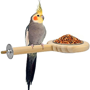 KATUMO Bird Perch Bird Feeding Cup Parrot Wood Perch Stand Toy Bird Cage Accessory for Parakeet Lovebird Conure Budgie Canary Finch Small Parrots