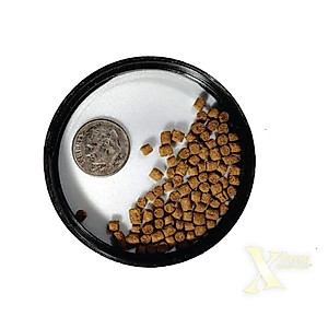 Xtreme Aquatic Fish Food - Nutritionally Balanced Professional Formula - Balanced Amino Acid Profile and No Hormones - Made in USA – Big Fella Slow Sinking 3mm Pellets (2.8 oz)