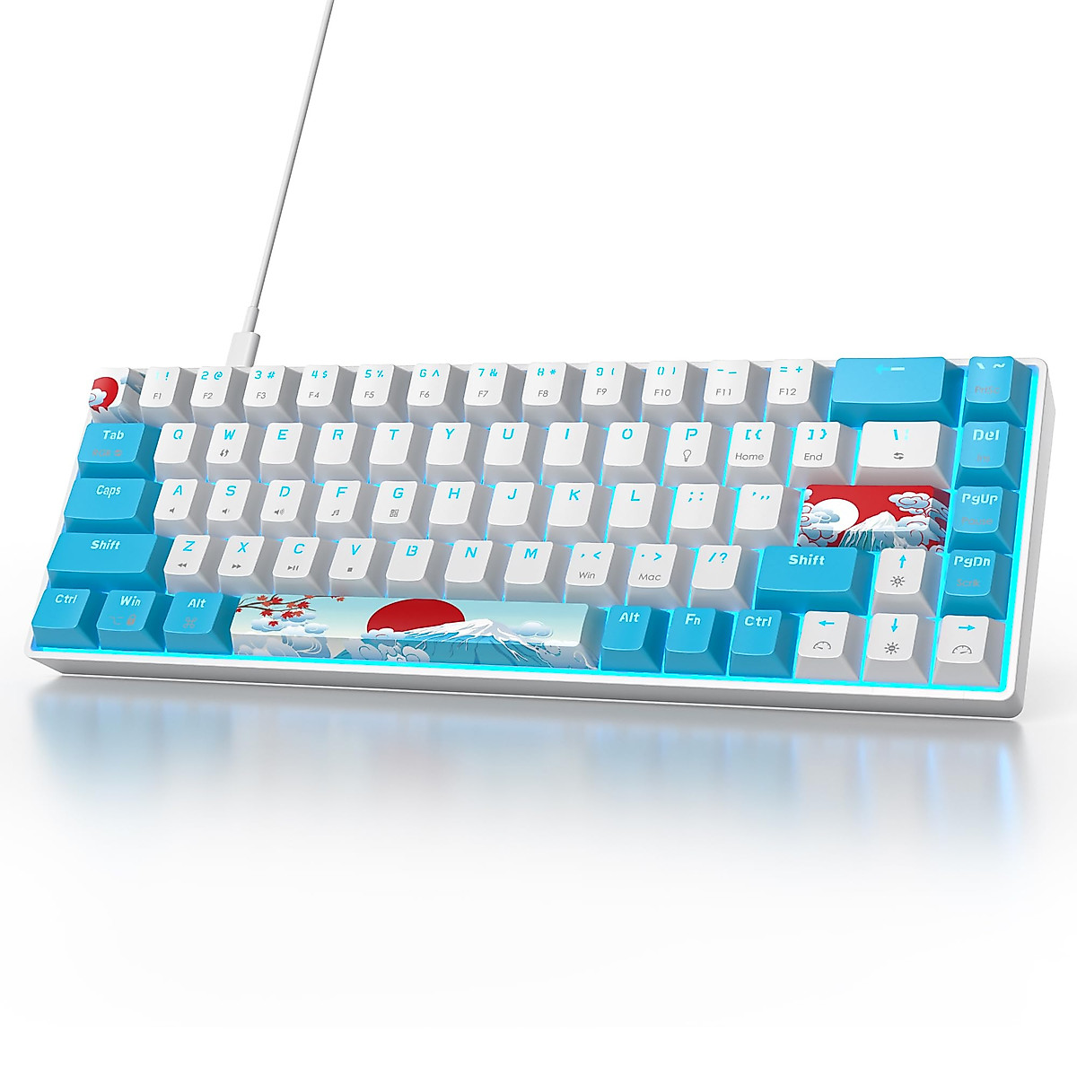 Owpkeenthy Wired 65% Mechanical Gaming Keyboard with Blue Switch 60% Ultra Compact RGB Gaming Keyboard Backlit Keys N-Key Rollover for PC PS5 Xbox(Blue/ 68 Blue Switch)