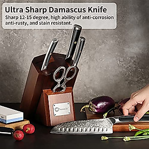 Sunnecko Knife Sets for Kitchen with Block,7 PCS Damascus Kitchen Knife Set,67-Layer Japanese VG10 High Carbon Stainless Steel Blade,Full Tang Forged,Ergonomic Handle,Whetstone&Scissors Include