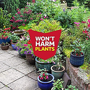 Raid House and Garden Insect Killer Spray, for Indoor & Outdoor Use, Won't Harm Plants, 11 oz