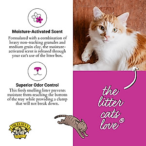 Precious Cat Elsey's Ultra Scented Cat Litter,18 Lb/8.16 Kg (Pack May Vary) Clay