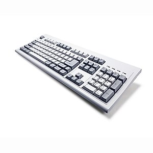 ELSRA Full Size Classic USB Wired Retro Membrane Keyboard with Numeric Keypad, Large L-Shaped Enter Key, Gray/Light Gray