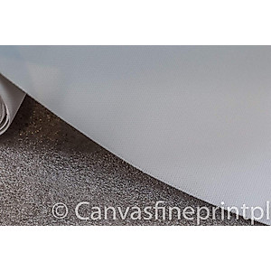 Paul Cezanne Dahlias in Flower Vase ~ FINE ART CANVAS PRINT Paintings Oil Painting Original Drawing Poster Photo Wall (10x14inch NO Framed)