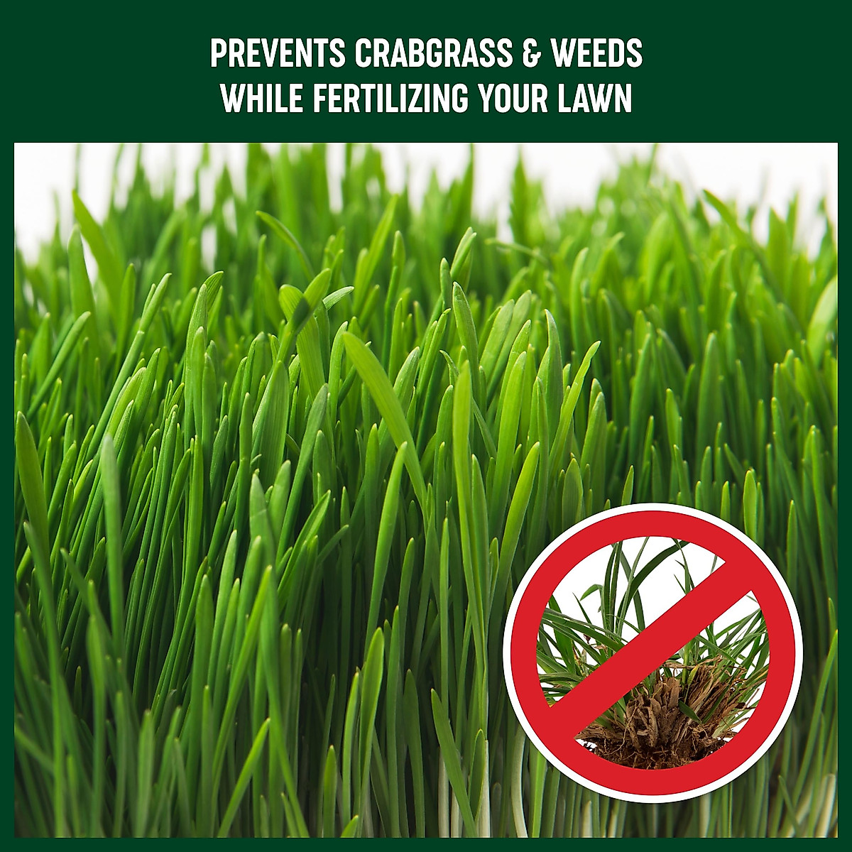 Purely Organic Products Crabgrass Defender Lawn Food 10-0-2, 15 LB, Covers 3000 Sq Ft