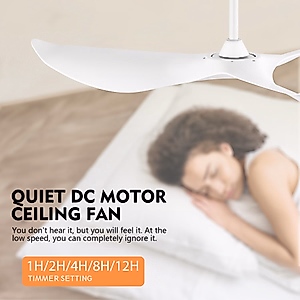 LEDLUX 52" Ceiling Fan no Light, 6 Speed Remote Control, Noiseless Reversible DC Motor, Modern 3 ABS Blades Ceiling Fan with 4.5"/12" Downrods for Bedroom/Living Room/Kitchen White