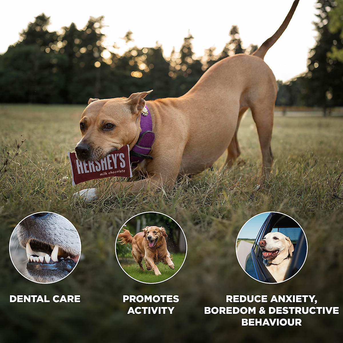 HERSHEY'S Dog Toys - Cute Puppy Toys, Chocolate Dog Chew Toy, Small Dog Toys, Candy Pet Toys, Squeaky Dog Toys for Small Dogs, Puppy Chew Toys, Plush Dog Toy Pack, Rope Toy Pack, Reese's Dog Chew Toy