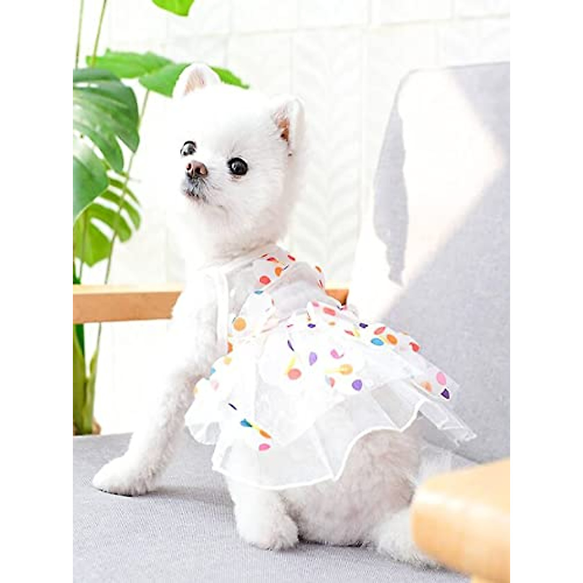 QWINEE Cute Polka Dot Mesh Cat Skirt Dog Dress Birthday Wedding Christmas Party Dog Costume Dresses for Kitty Puppy Small Medium Dogs Multicolor XL