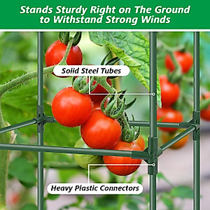 3Pack Tomato Cages for Garden,Square Tomato Plant Cage Support Heavy Duty Pole 57*15.4*15.4 Inches,Steel Plant Tower Stakes,Cherry Tomato Trellis Cucumber for Climbing Vegetables Flowers Fruits-Green