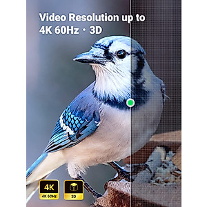 UGREEN 2 Pack HDMI Coupler Bundle with 4K HDMI Cable