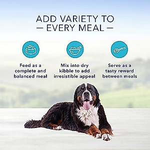 Blue Buffalo Homestyle Recipe Natural Adult Large Breed Wet Dog Food, Chicken 12.5-oz can (Pack of 12)