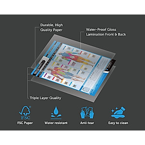 Gym Workout Posters - Set of 7 - Laminated - EXTRA LARGE 33" X 23.5" - Exercise Posters - Gym or Home Workout Charts - Includes Video Training Support