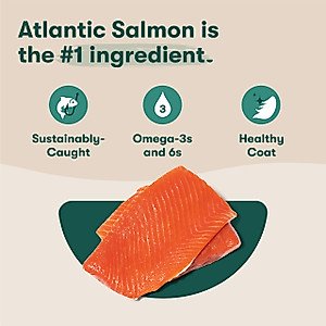 Salmon, Sweet Potato & Carrot Dry Dog Food, Grain Free, High Protein, All Natural, Promotes Healthy Joints, Coat & Immune Function, No Artificial Fillers, 4 Lb. Bag