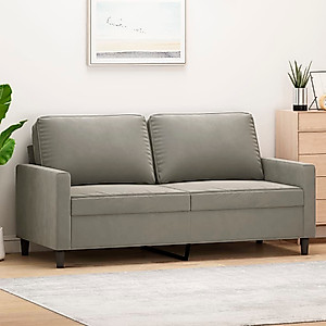 GOLINPEILO 2-Seater Sofa Light Gray 55.1" Velvet, 62.2" x 30.3" x 31.5", (Style B)