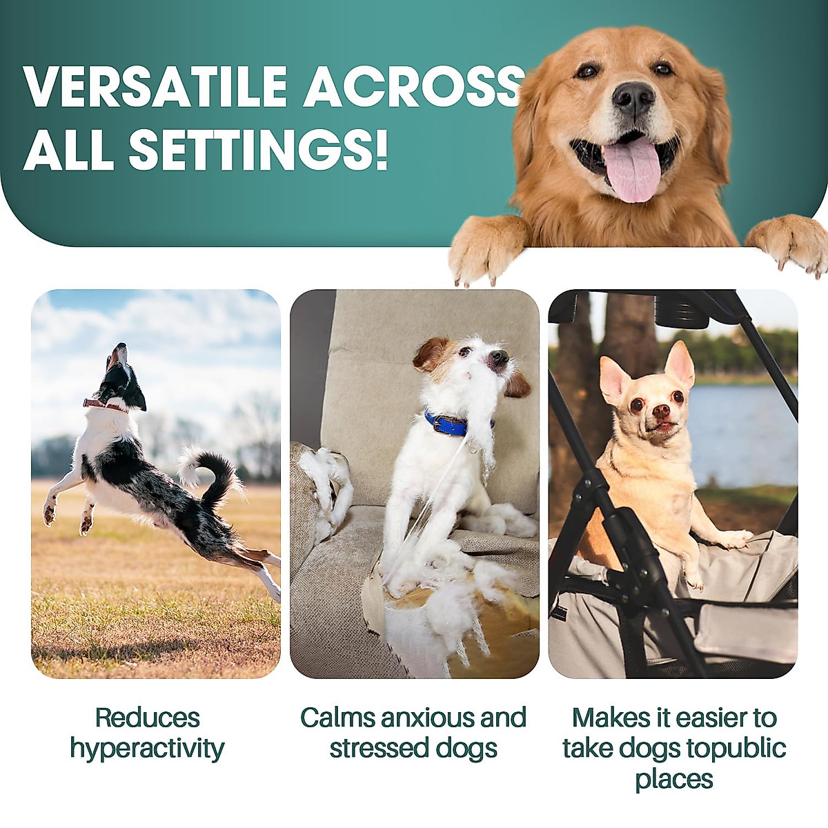 Ethlauff Calming Chews for Dogs 120 Count,Dog Calming Treats,Anxiety Relief Treats,Dog Anxiety Relief,Helps with Dog Anxiety,Separation,Barking,Stress Relief,Sleep Calming Aid,for All Breeds & Sizes