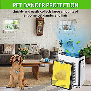 Vital 100S Pet Care Replacement Filter Compatible with LEVOIT Vital 100S Air Purifier, H13 True HEPA and High-Efficiency Activated Carbon Filter, Vital 100S-RF-PA (LRF-V102-YUS), 1 Pack, Yellow