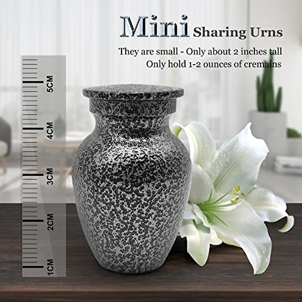 Small Urns for Human Ashes Keepsake - Mini Urn Set of 2, Exquisite Hand Engraved Sharing Tokens Urns to Remember Your Love One Lost - 2" Personal Tiny Ash Urn Ashes Holder for Adults w/Velvet Bag