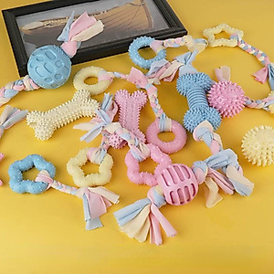 Dog Chew Toys,Toothbrush Stick Teeth Cleaning Brush Dental for Medium Large Dog Interactive Dog Toys (Circle)