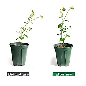 PFNRTH 4 Pack Plant Stakes,Plant Support Stakes for Two Sizes(16 or 32 Inches),Plant Stakes for Outdoor Plants,Garden Flower,Tomato(Green)